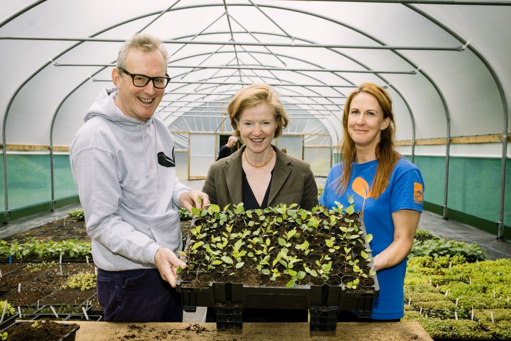 Unique native tree nursery opens in Cumbria by mental health charity ...