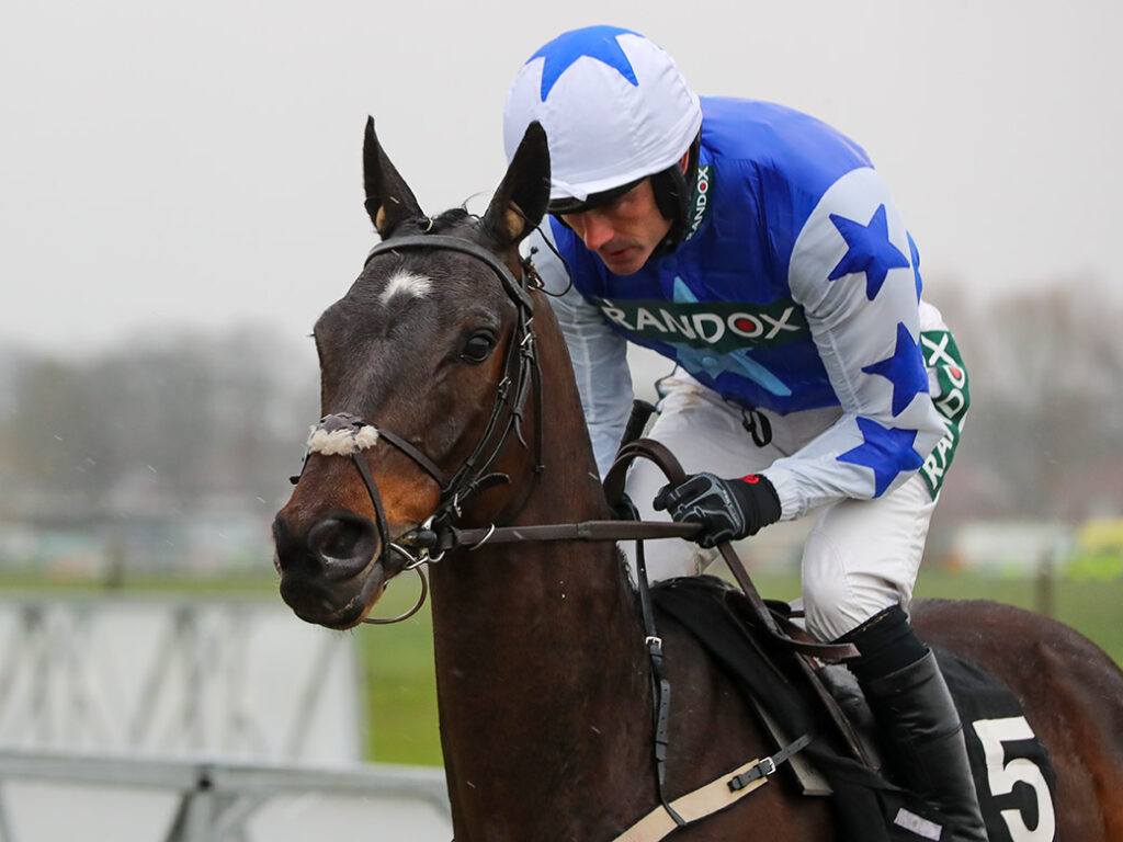 Meet steeplechase champion Kemboy at Holker Hall – cumbriacrack.com