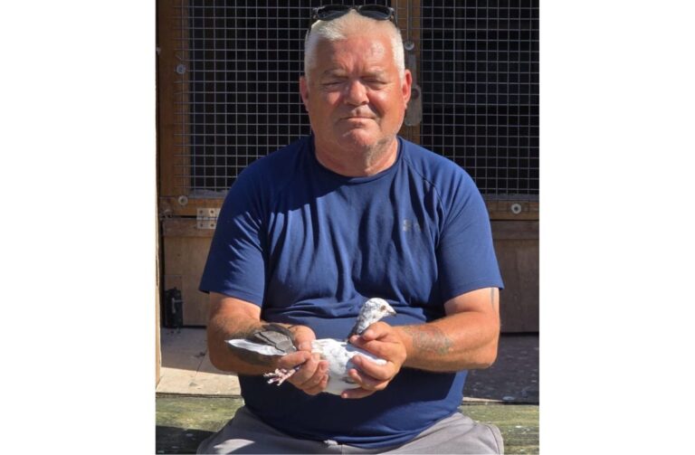 Excellent race for West Cumbrian pigeons – cumbriacrack.com