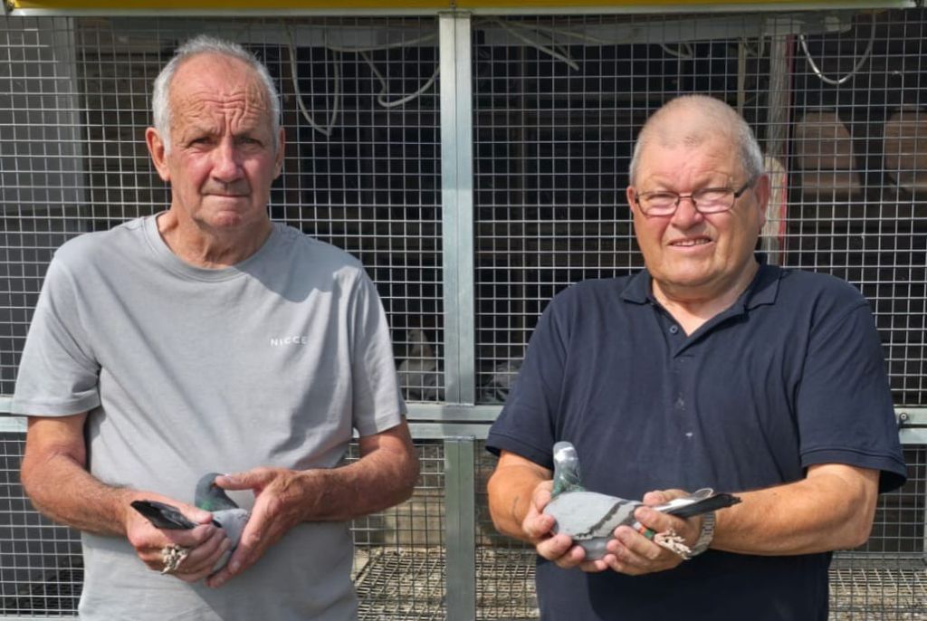 No stopping David Lofthouse’s pigeon team – cumbriacrack.com