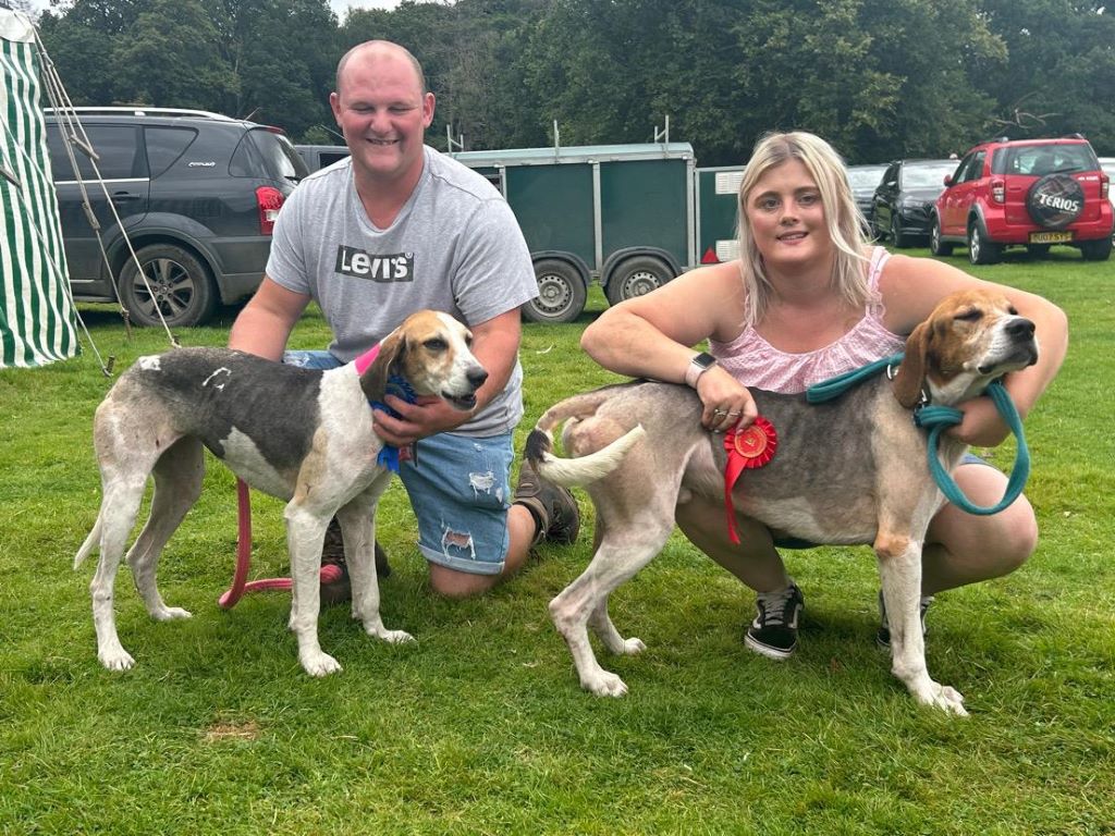 Busy week for hounds – cumbriacrack.com
