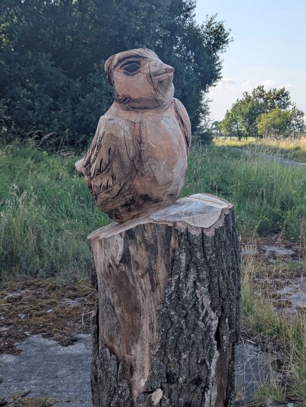 New wooden sculptures installed at Watchtree Nature Reserve ...
