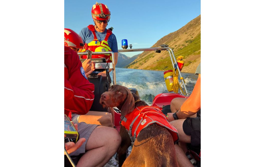 30kg dog rescued by boat after refusing to move on Lake District walk – cumbriacrack.com