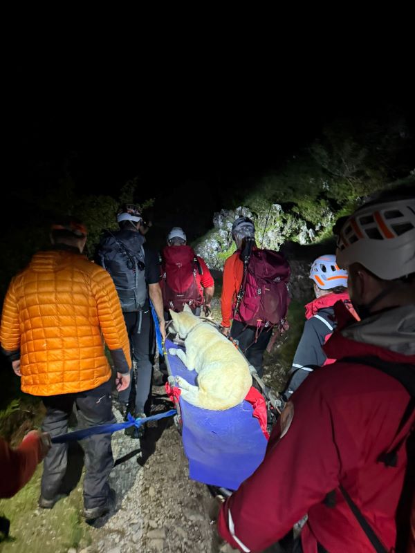 Lake District walker fell after carrying injured 35kg husky – cumbriacrack.com